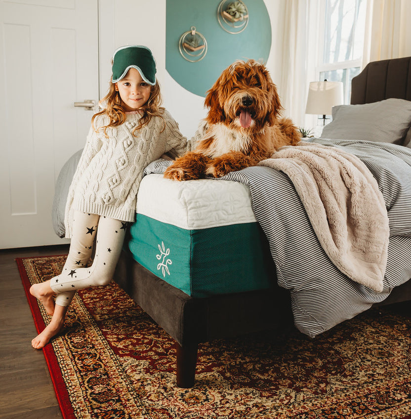 Shop Mattresses, Bed Frames & Sofas | Zinus